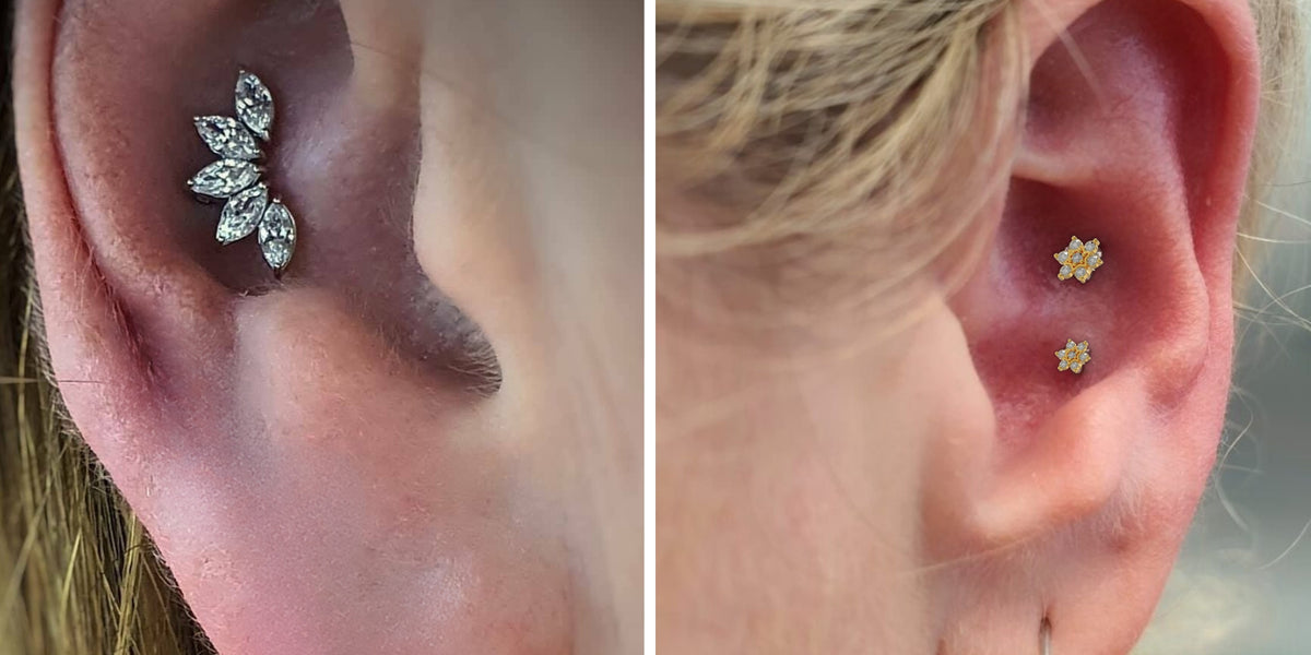 3 Fashion-Forward Conch Piercing Choices — Monster Piercing