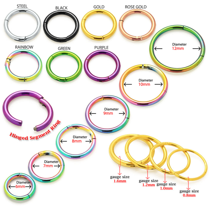 G23 Grade Titanium Hinged Segment Clicker Rings